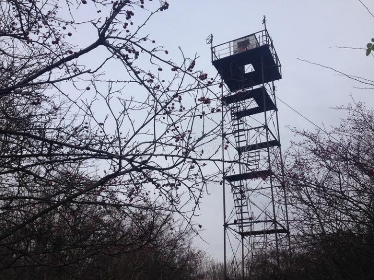 Fire lookout tower, Standard Lookout Steel Structure For Forest Service ...