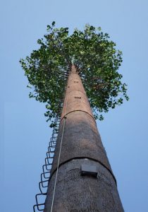 Camouflage Cell Tower , Bionic Tree Communication Steel Structural ...