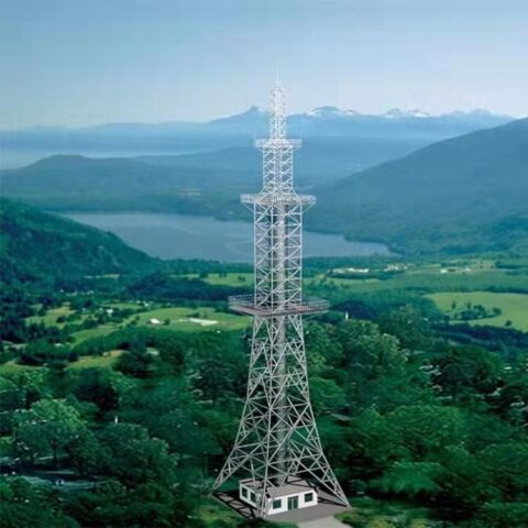 difference between a cell tower, RF tower, and microwave tower ...